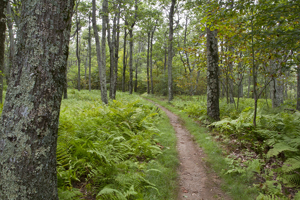 Recreation - Wilderness (U.S. National Park Service)