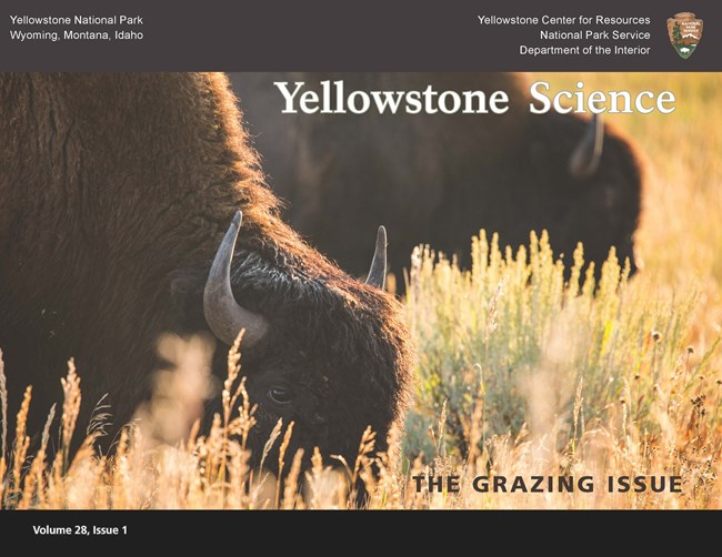 Yellowstone Science 28(1): The Grazing Issue (U.S. National Park Service)