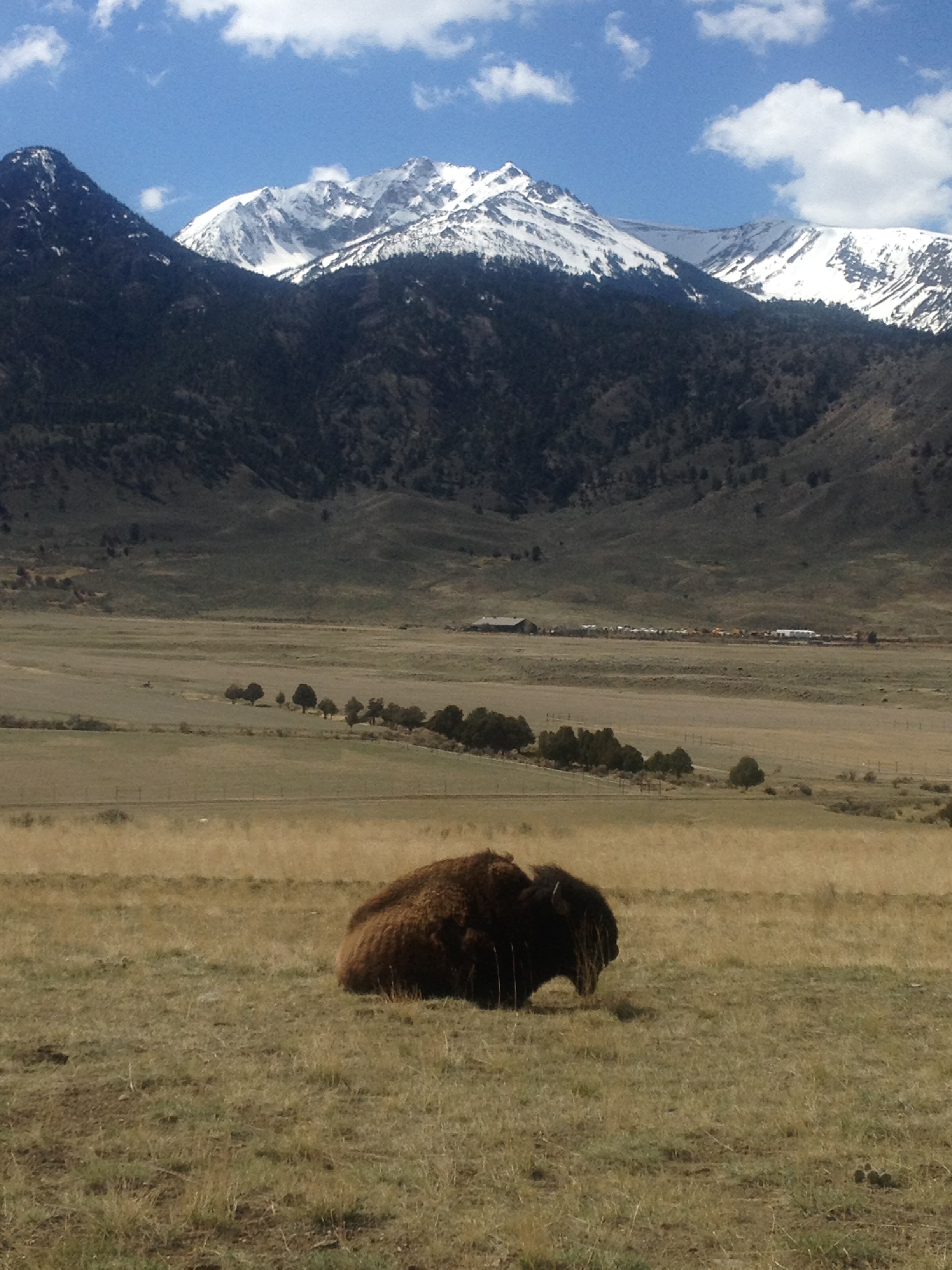 Contact Us - Yellowstone Science (U.S. National Park Service)