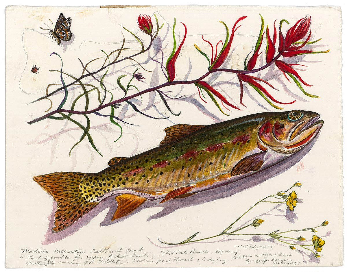 An Approach to Conservation of Native Fish in Yellowstone (U.S ...