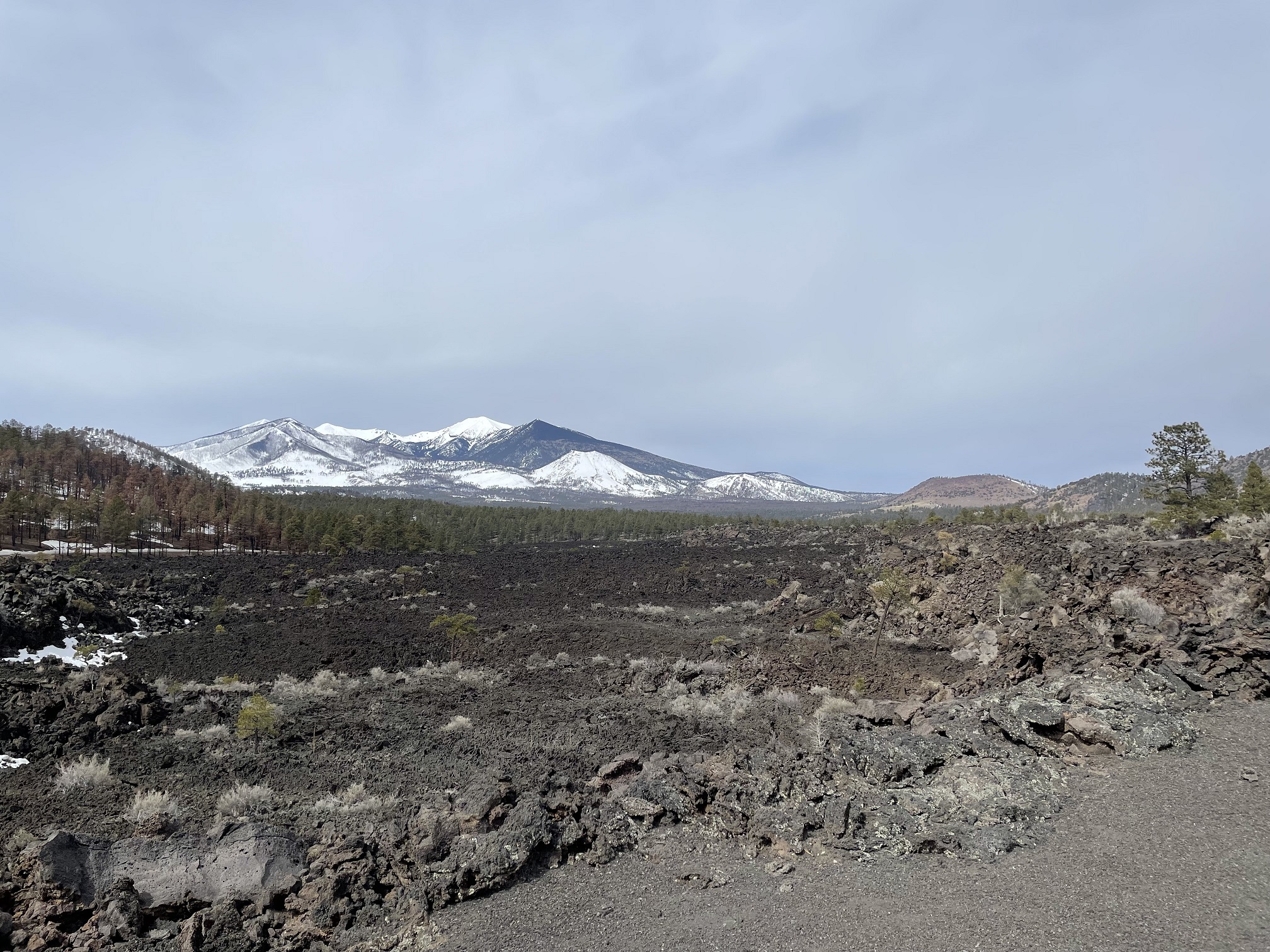 Ranger-Led Hikes - Sunset Crater Volcano National Monument (U.S ...
