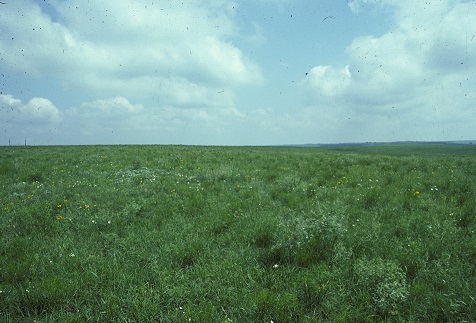 Weather - Tallgrass Prairie National Preserve (U.S. National Park Service)