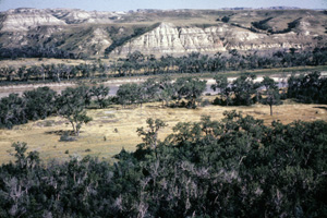 Bill Sewall & Wilmot Dow - Theodore Roosevelt National Park (U.S ...