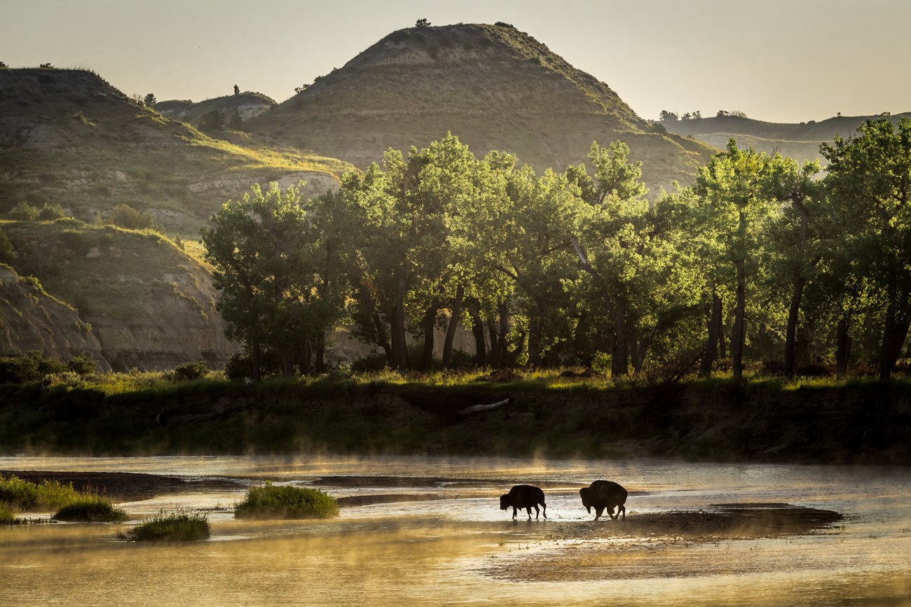 Wilderness - Theodore Roosevelt National Park (U.S. National Park Service)