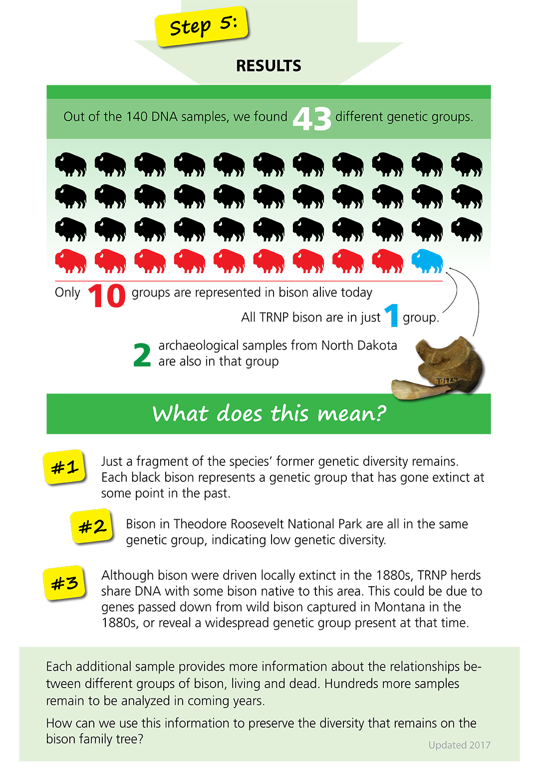 Bison Genetics Research - Preliminary Results - Theodore Roosevelt ...