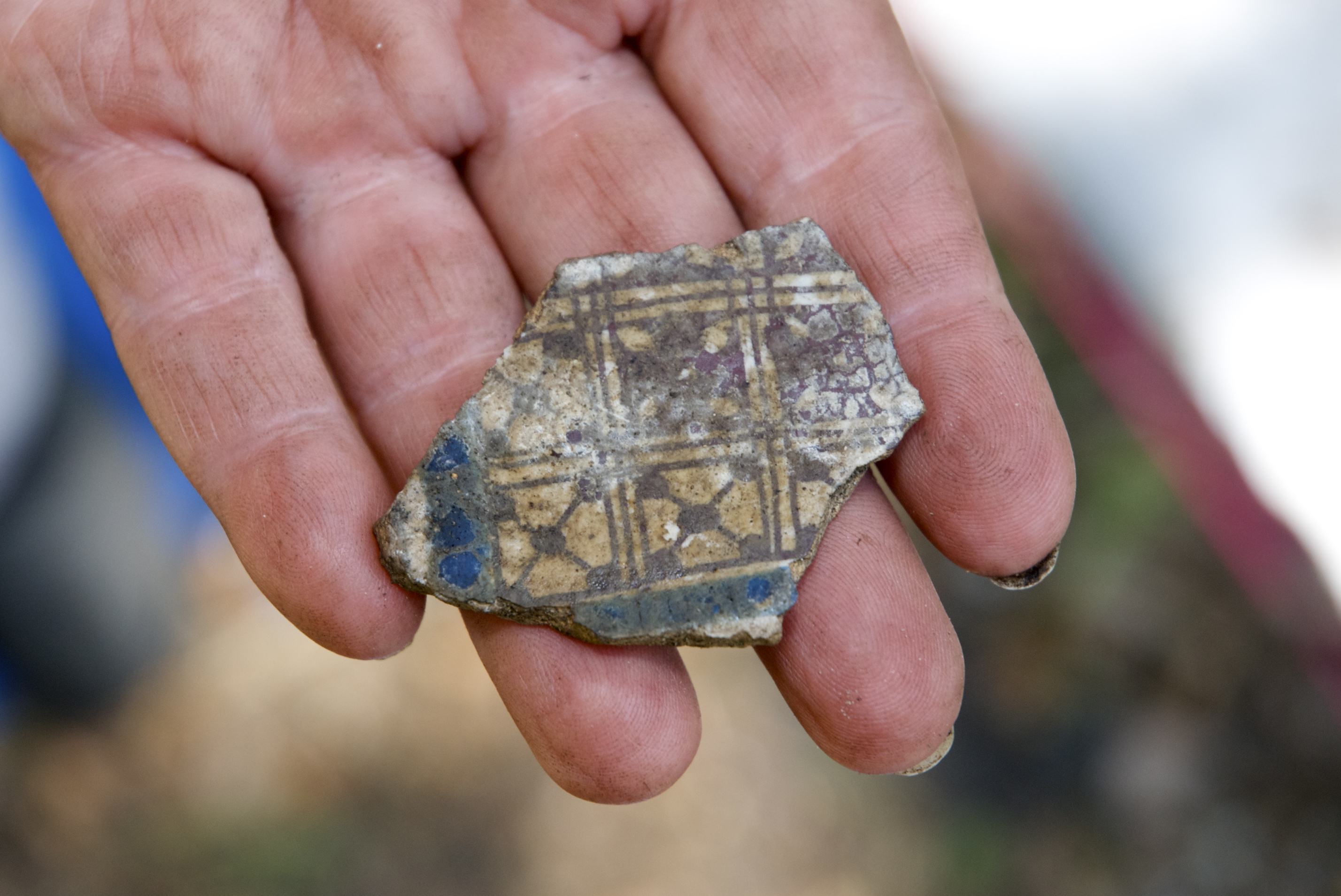 Collections - Timucuan Ecological & Historic Preserve (U.S. National ...