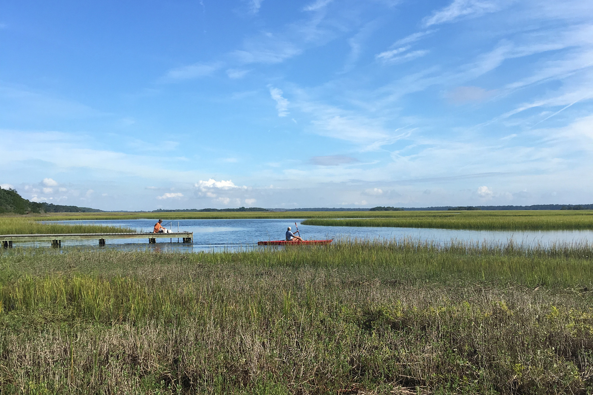 Salt Marsh - Timucuan Ecological & Historic Preserve (U.S. National ...