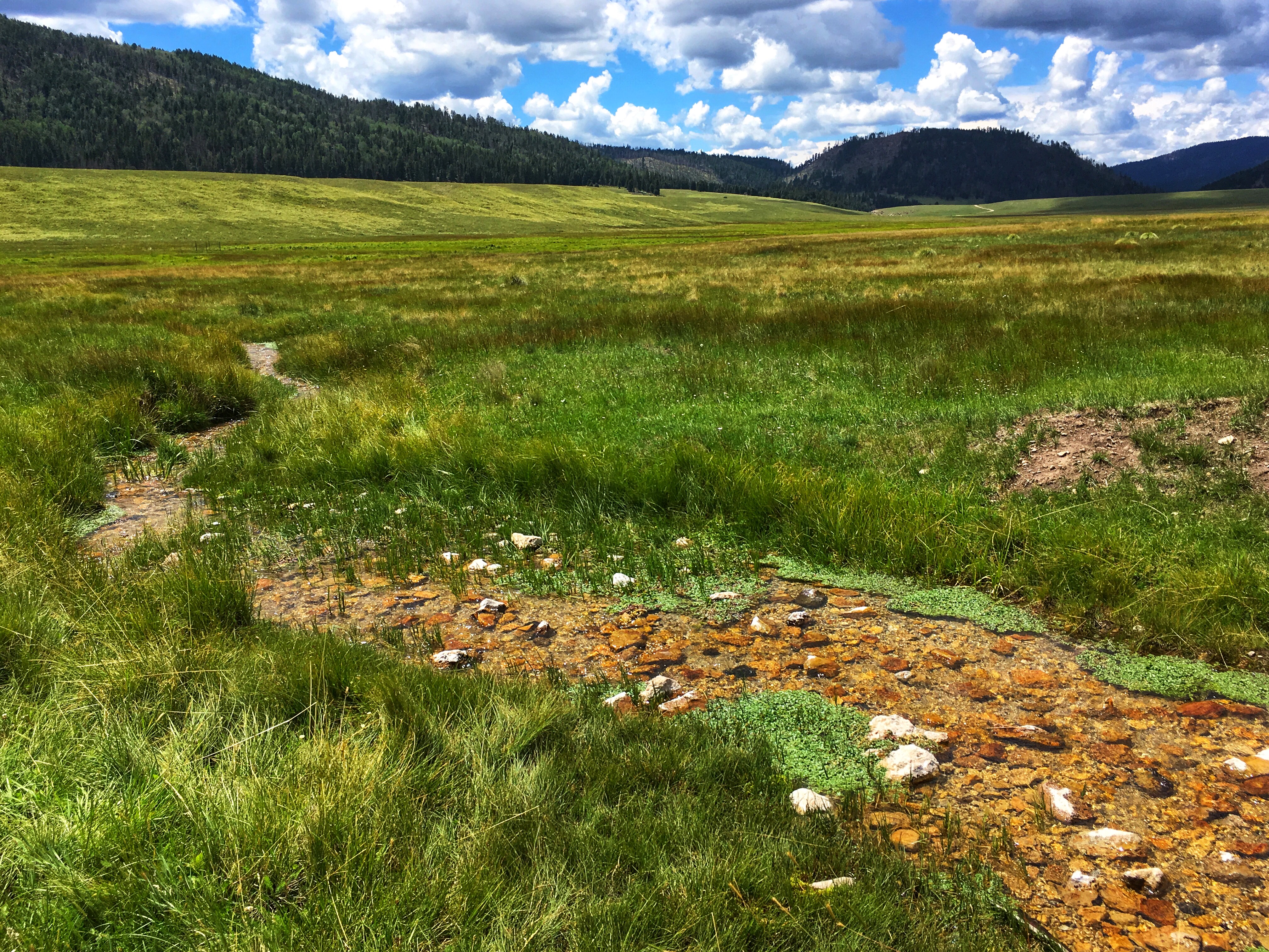 Moderate Hikes - Valles Caldera National Preserve (U.S. National Park ...