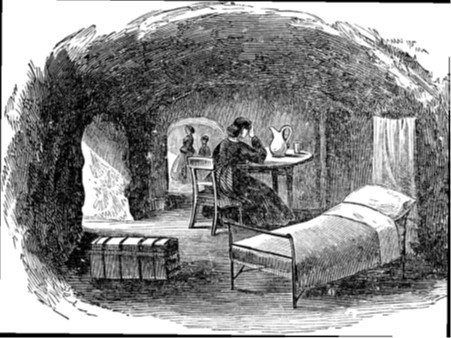 Cave life - Vicksburg National Military Park (U.S. National Park Service)