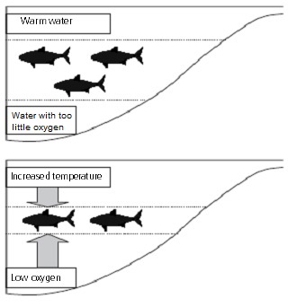 Managing Coldwater Fish Populations in a Changing Climate - Voyageurs ...