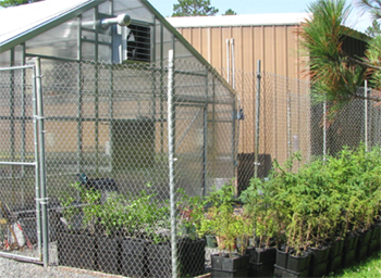 Native Plant Nursery - Voyageurs National Park (U.S. National Park Service)