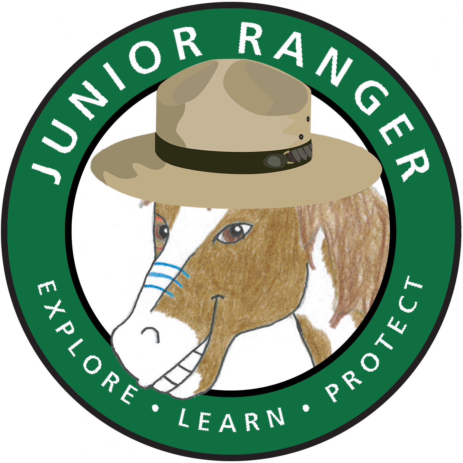 Virtual Junior Ranger - Washita Battlefield National Historic Site (U.S ...