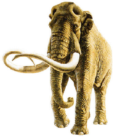 Mammoth Sites in the United States - Waco Mammoth National Monument (U ...