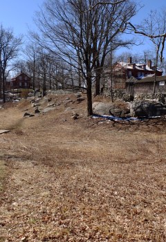 Woodland Area - Weir Farm National Historical Park (U.S. National Park ...