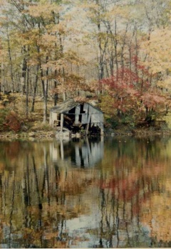 Weir Pond - Weir Farm National Historical Park (U.S. National Park Service)
