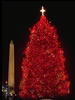 1963-1968 National Christmas Trees - The White House and President's ...