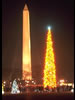 1963-1968 National Christmas Trees - The White House and President's ...