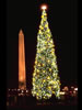 1963-1968 National Christmas Trees - President's Park (White House) (U ...