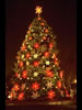 1981-1988 National Christmas Trees - The White House and President's ...