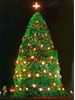 1993-2000 National Christmas Trees - President's Park (White House) (U ...