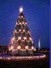 1993-2000 National Christmas Trees - The White House and President's ...