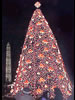 1993-2000 National Christmas Trees - President's Park (White House) (U ...
