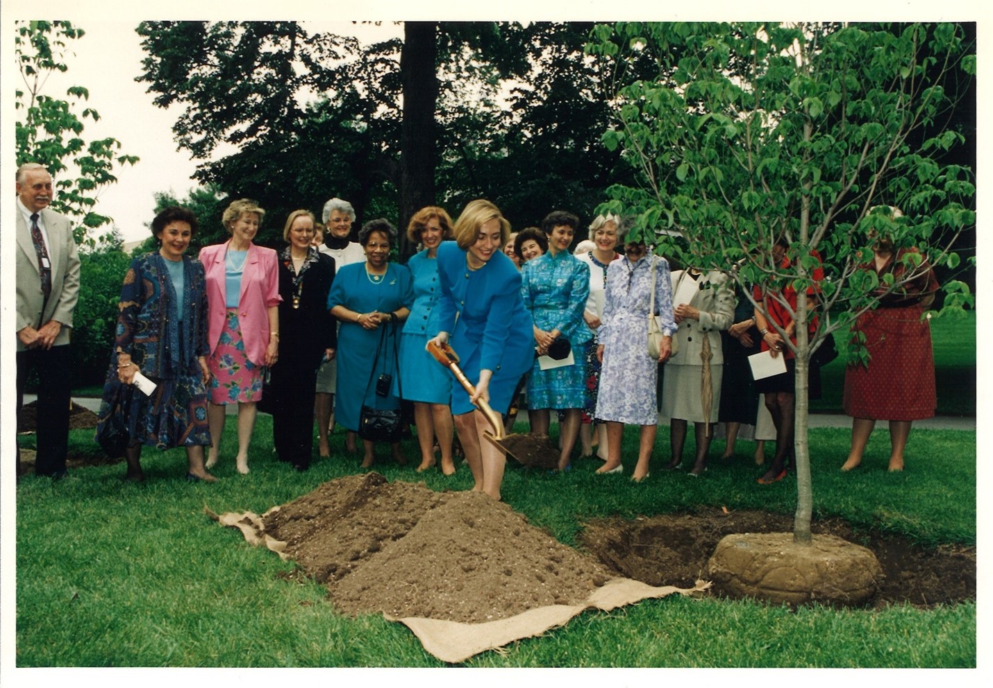Clinton Dogwood 1994 - The White House and President's Park (U.S ...