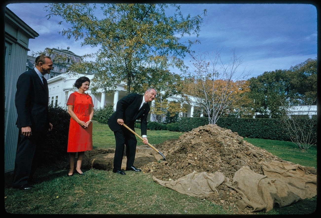Johnson Oak 1964 - The White House and President's Park (U.S. National Park Service)