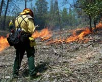 Mastication Research Fire Behavior Data - Whiskeytown National ...