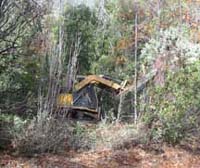 Mastication Research Fire Surrogate Treatments - Whiskeytown National ...