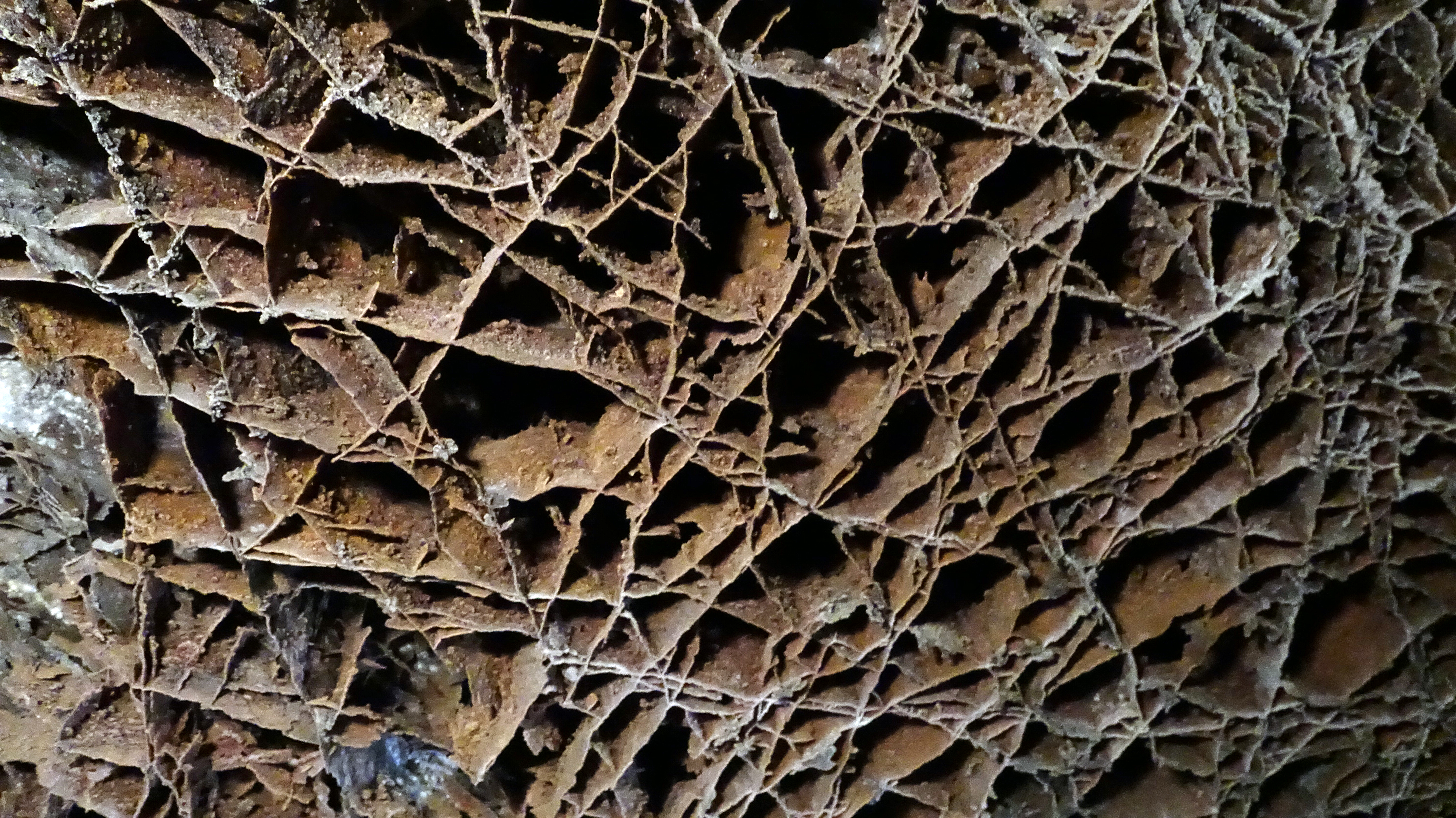 Cave Geology - Wind Cave National Park (U.S. National Park Service)