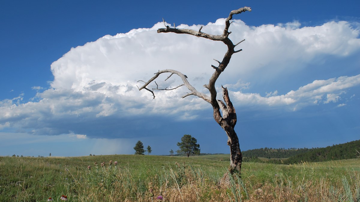 Weather - Wind Cave National Park (U.S. National Park Service)