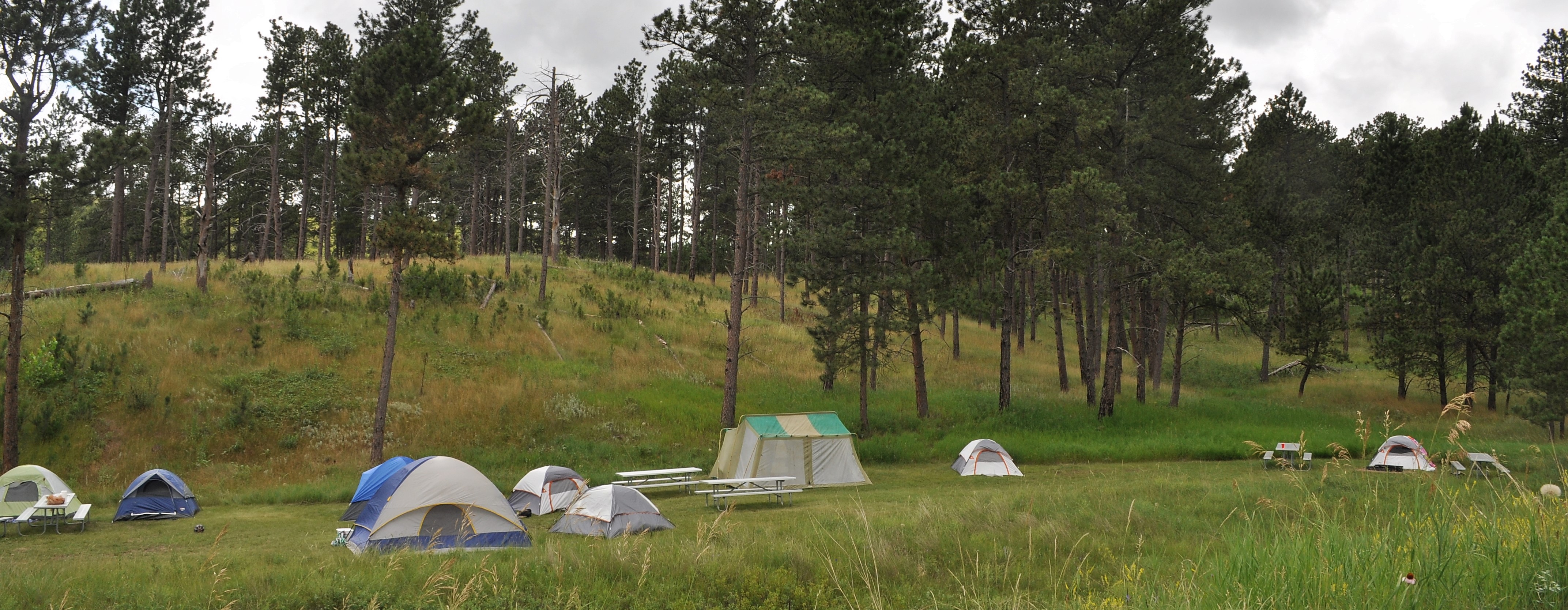 Group Camping - Wind Cave National Park (U.S. National Park Service)