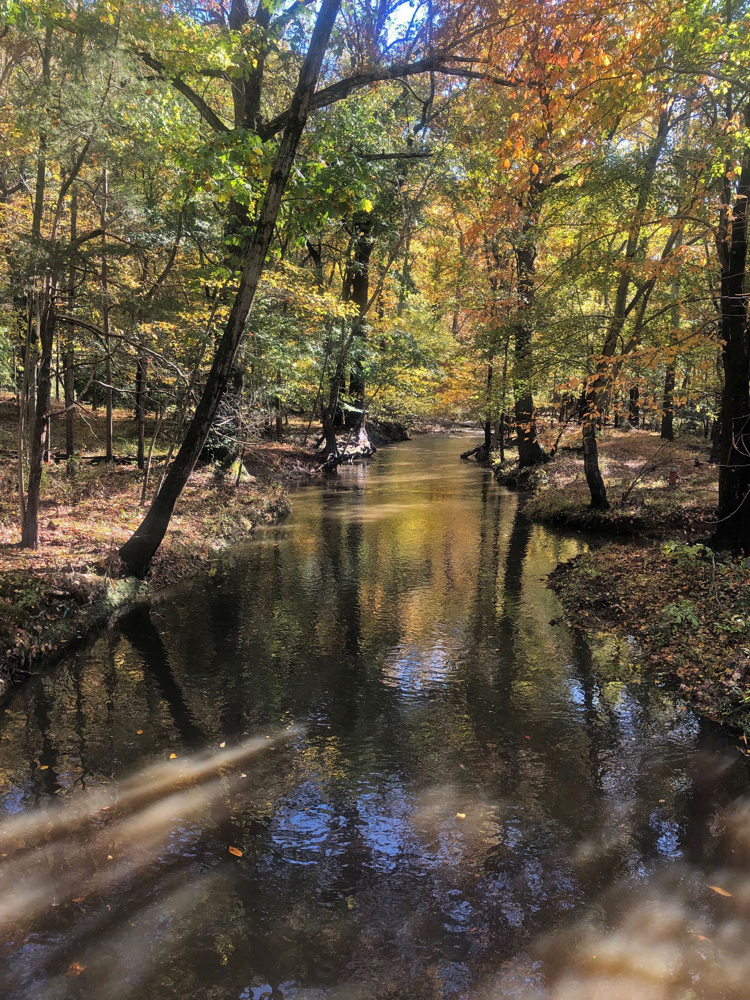 Natural Features & Ecosystems - Wolf Trap National Park for the ...