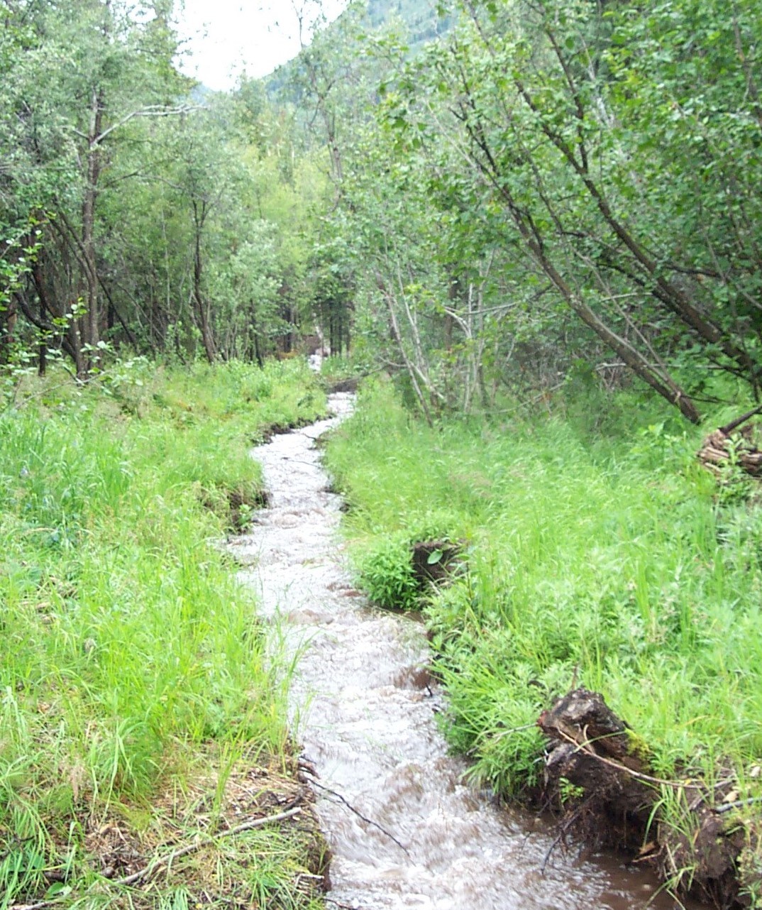Nabesna Mine Site Environmental Investigation Project - Wrangell - St ...
