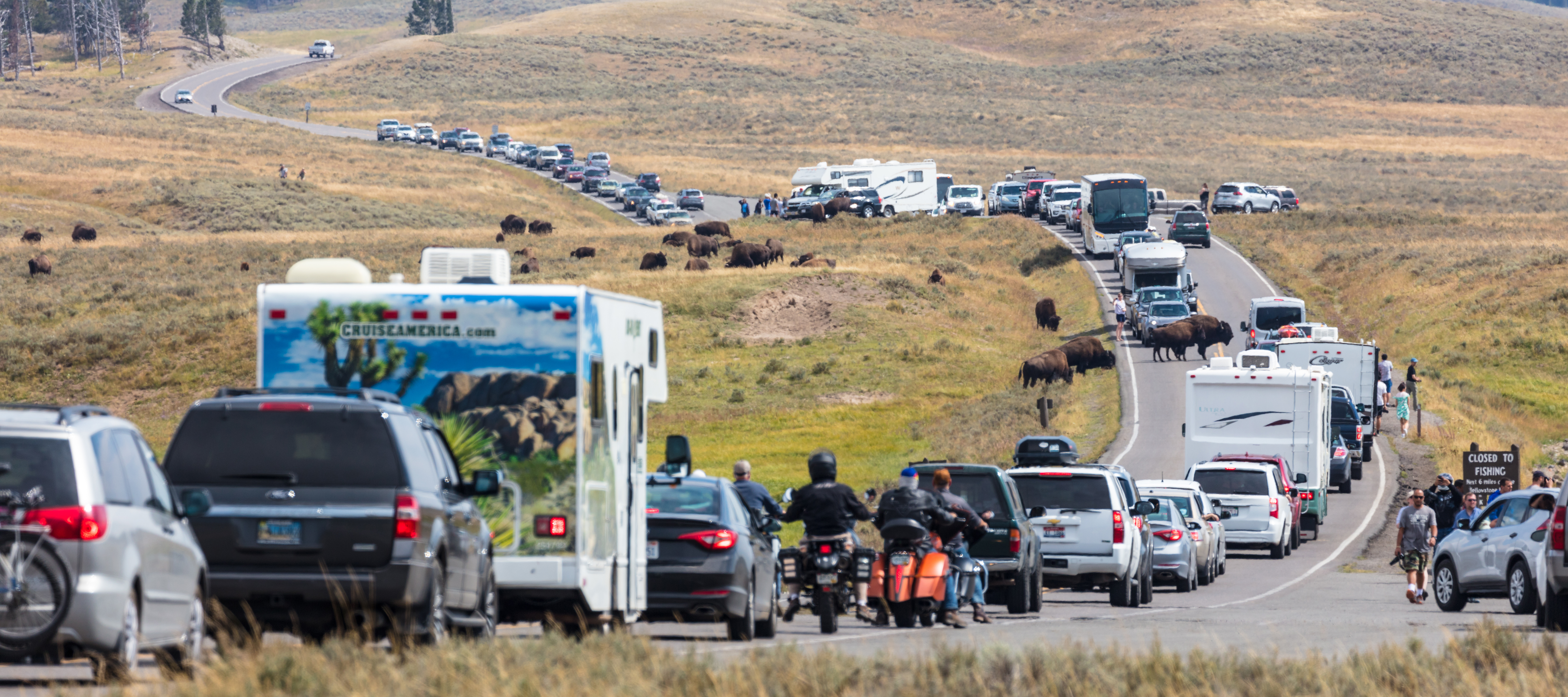 Fleet and Transportation - Yellowstone National Park (U.S. National ...