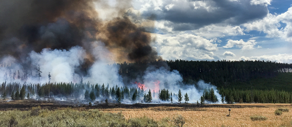 From a crackle to a roar: a day in the life of a wildfire ...