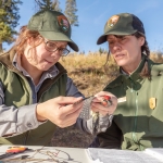 Science & Research - Yellowstone National Park (U.S. National Park Service)