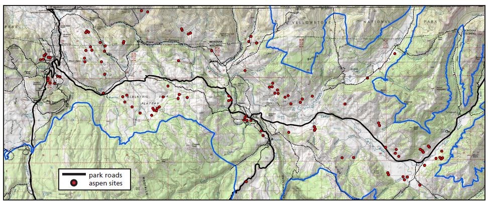 YS 24-1 The Plight of Aspen Emerging as a Beneficiary of Wolf ...