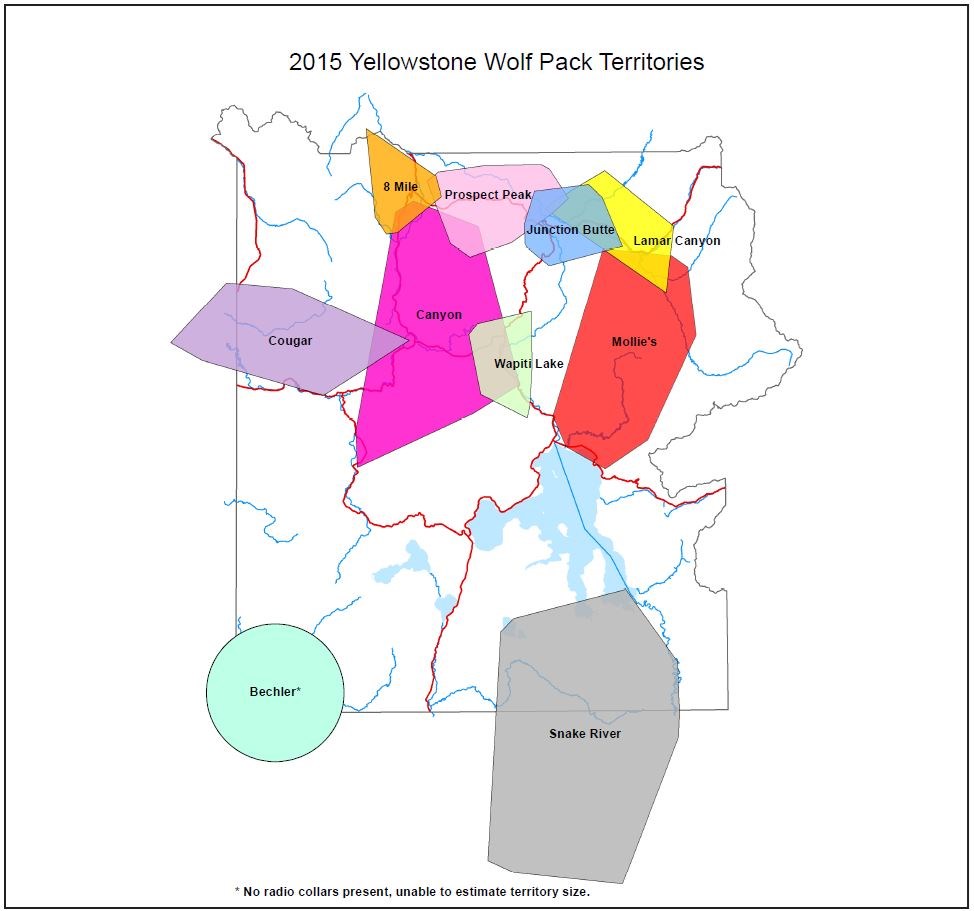Wolf Restoration in Yellowstone: Reintroduction to Recovery (U.S ...