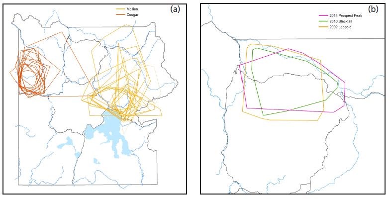 YS 24-1 Wolf Turf A Glimpse at 20 Years of Spatial Ecology in ...