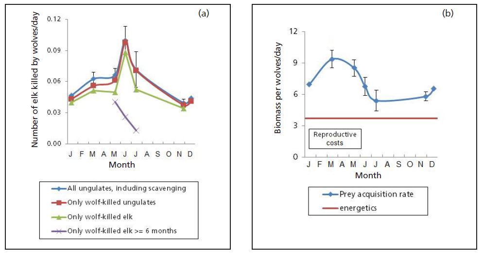 Ys 24 1 Temporal Variation In Wolf Predation Dynamics In Yellowstone Lessons Learned From Two