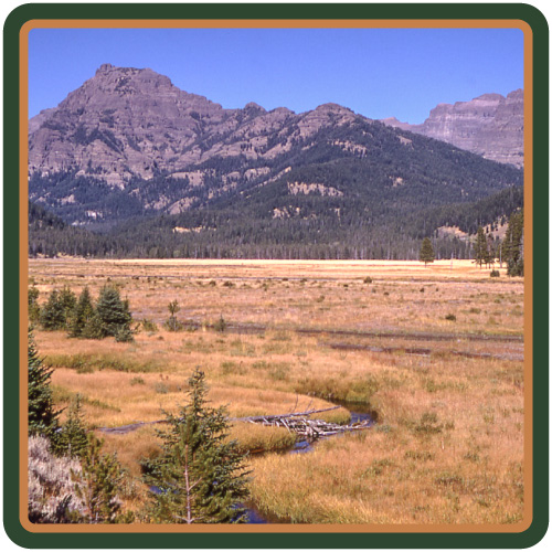 Places in Yellowstone - Yellowstone National Park (U.S. National Park ...