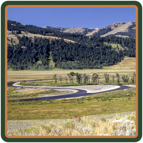 Places in Yellowstone - Yellowstone National Park (U.S. National Park ...