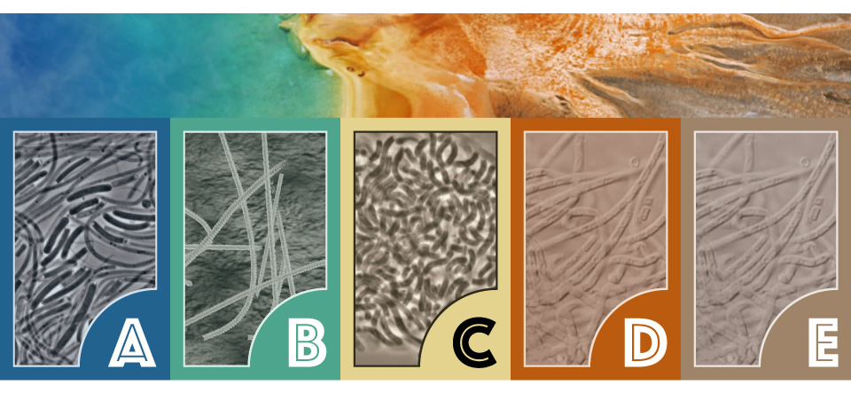 Hydrothermal Features - Yellowstone National Park (U.S. National Park ...