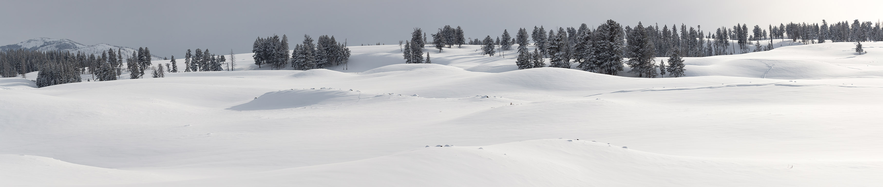 Play in the Snow - Yellowstone National Park (U.S. National Park Service)