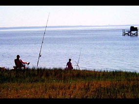 Fish - Colonial National Historical Park (U.S. National Park Service)