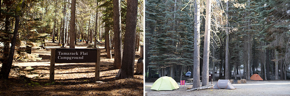 Tamarack Flat Campground - Yosemite National Park (U.S. National Park ...