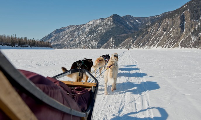 Dog Sled Side View