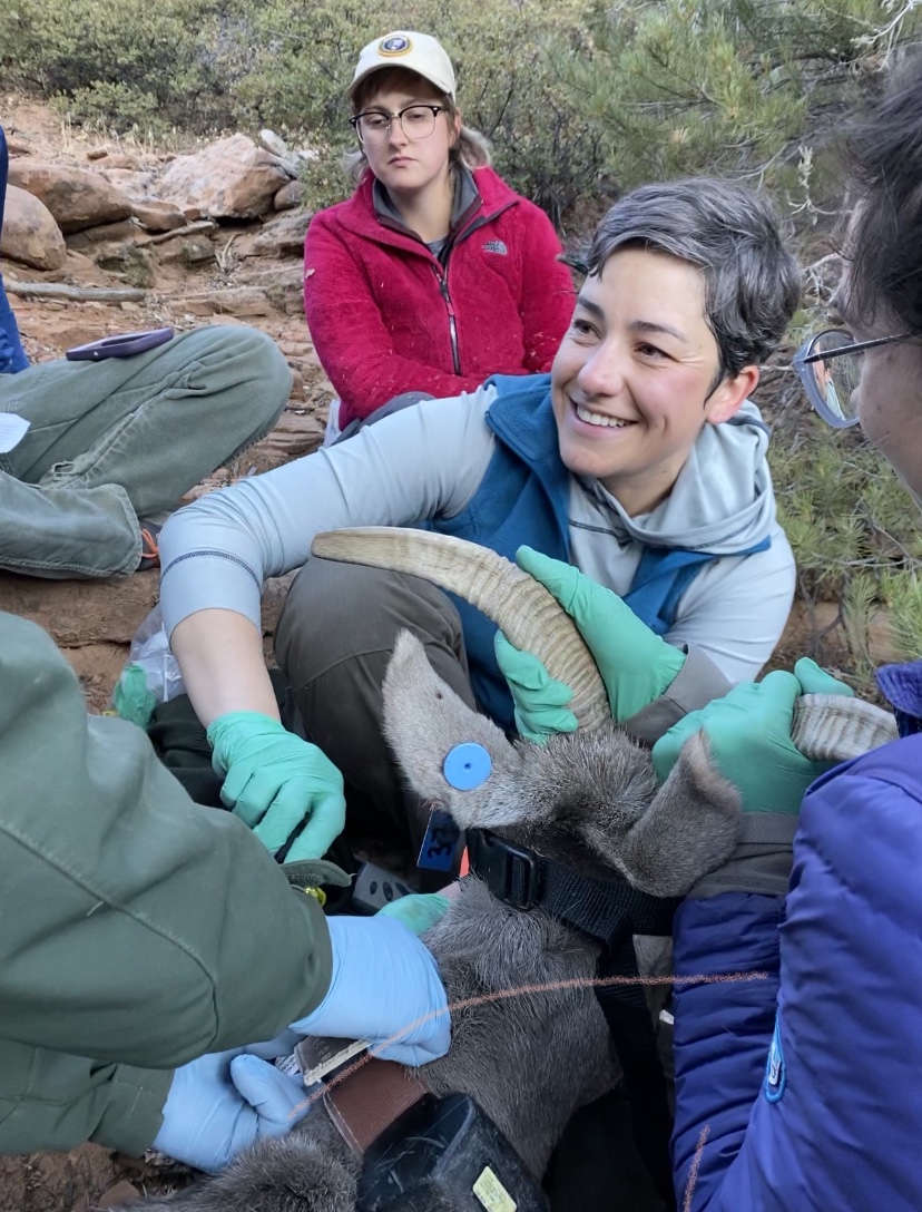 Obtaining a Scientific Research and Collecting Permit - Zion National ...